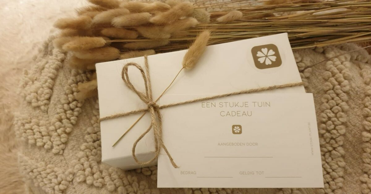 Origineel cadeau gezocht? | Stima-Plant